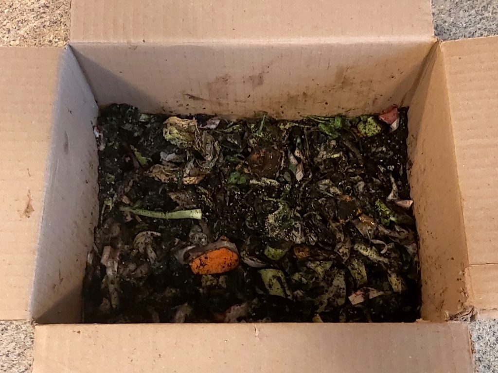 Compost en carton - Éco Héros - L’organisation des enfants pour la ...