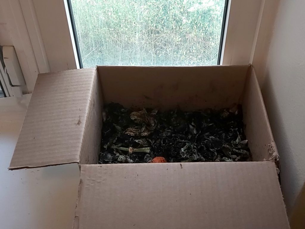 Compost en carton - Éco Héros - L’organisation des enfants pour la ...