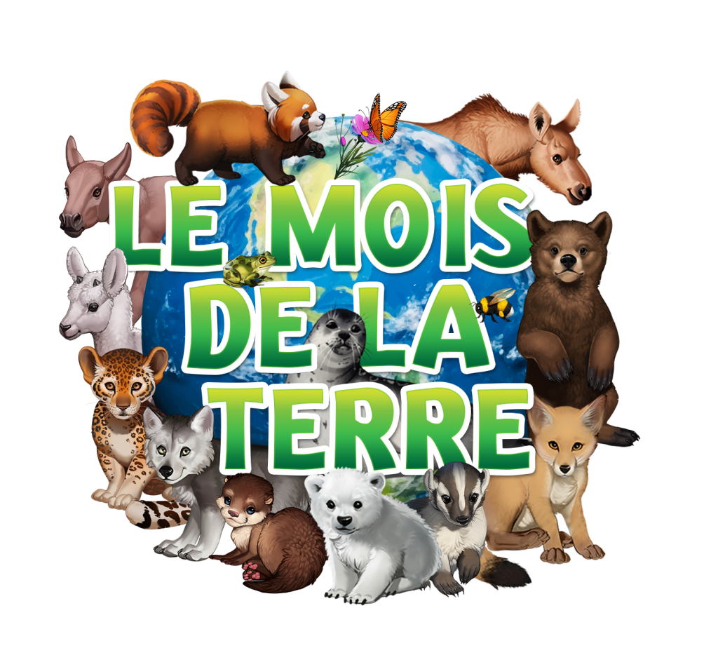 Déchaînez-vous pendant le Mois de la Terre ! - Éco Héros - L ...