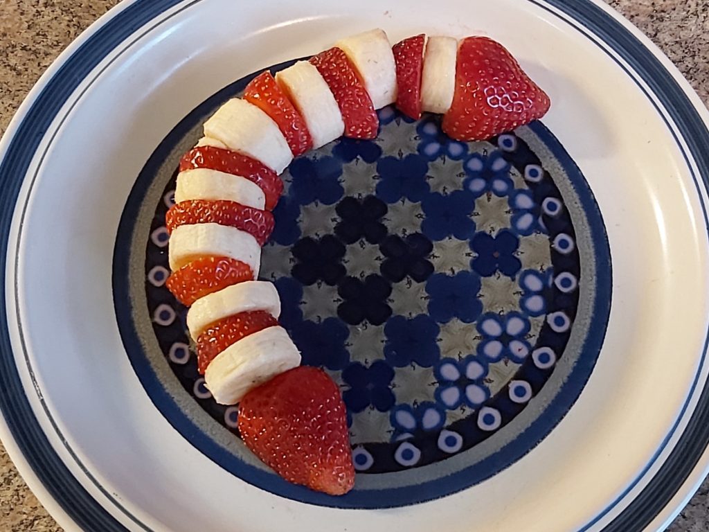 Gecko à gober - Éco Héros - L’organisation des enfants pour la conservation