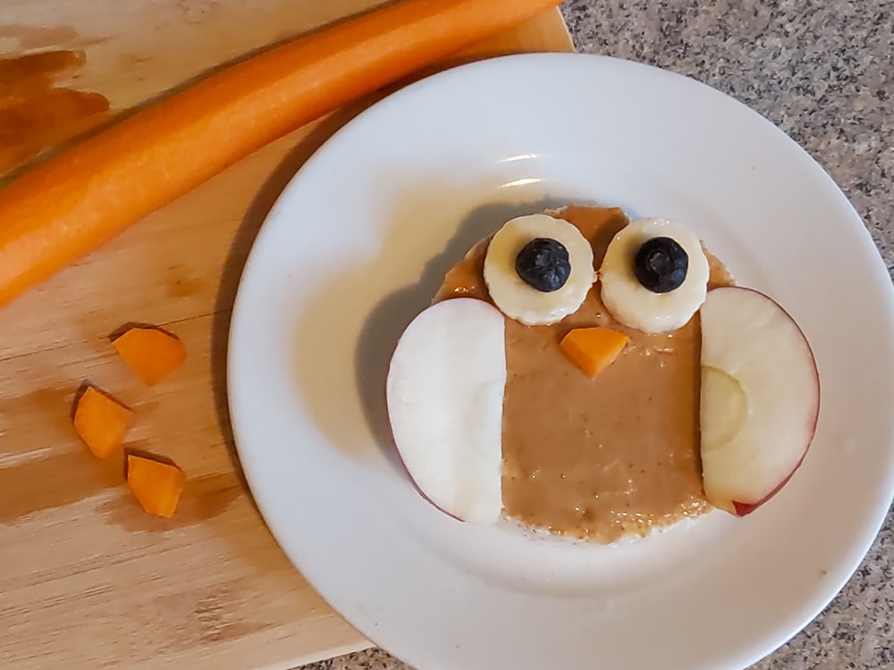 Hibou en galette de riz - Éco Héros - L’organisation des enfants pour ...