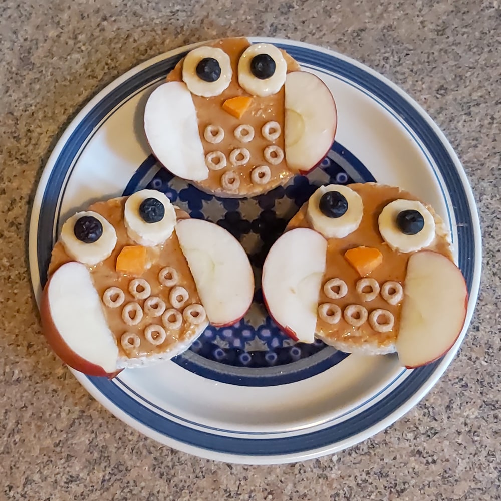 Hibou en galette de riz - Éco Héros - L’organisation des enfants pour ...